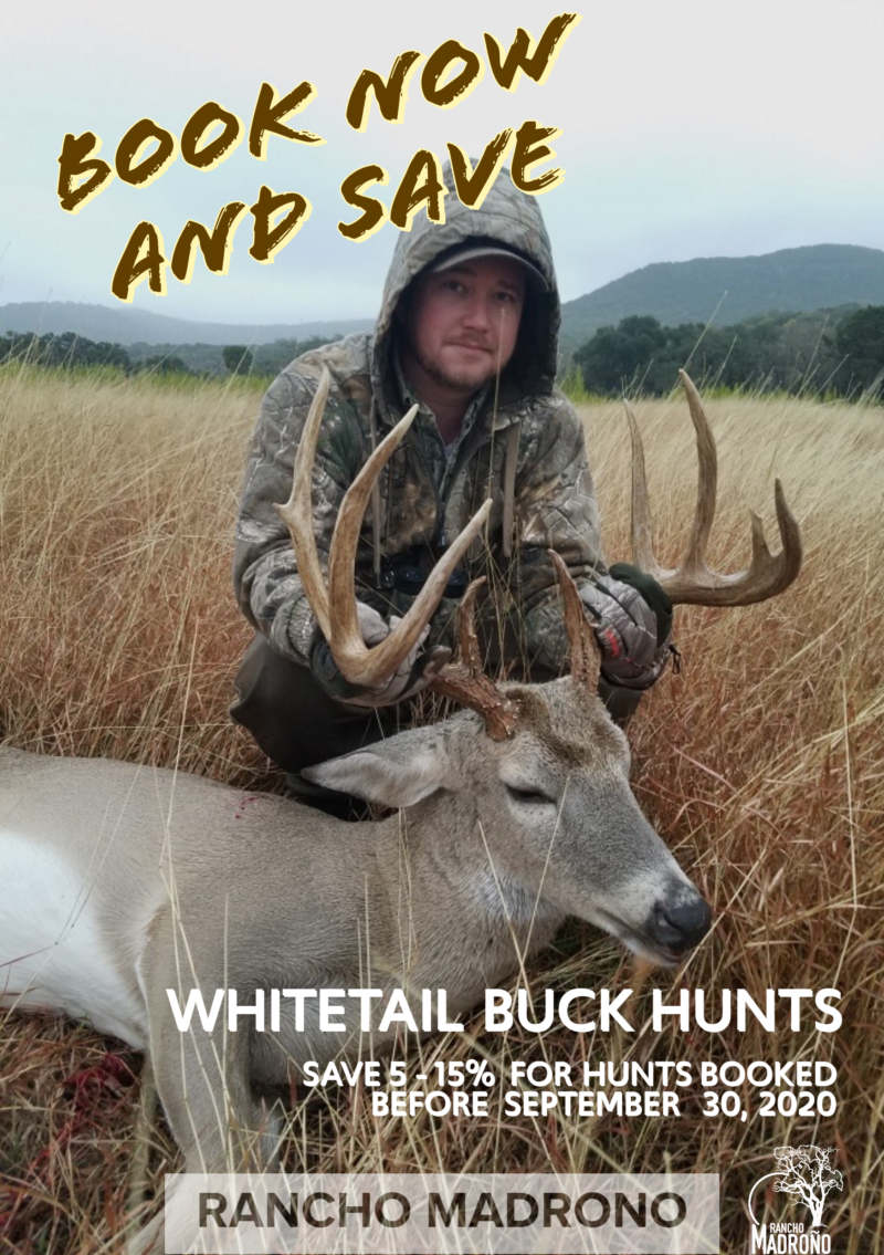 Whitetail Deer, Hunting at Rancho Madrono, Pipe Creek, Texas